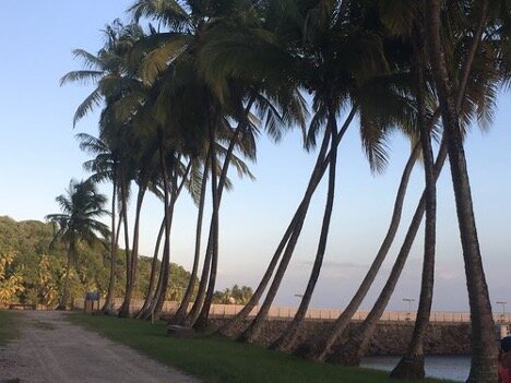 20 Fascinating Facts About Devil's Island - The Alcatraz of the ...
