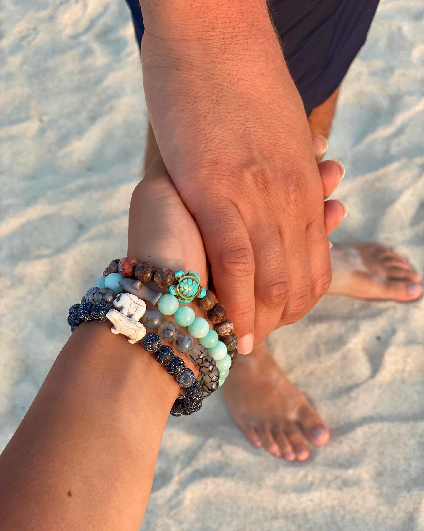 Marine Life Conservation - Save the Sea Turtles and Sharks — Navigate ...