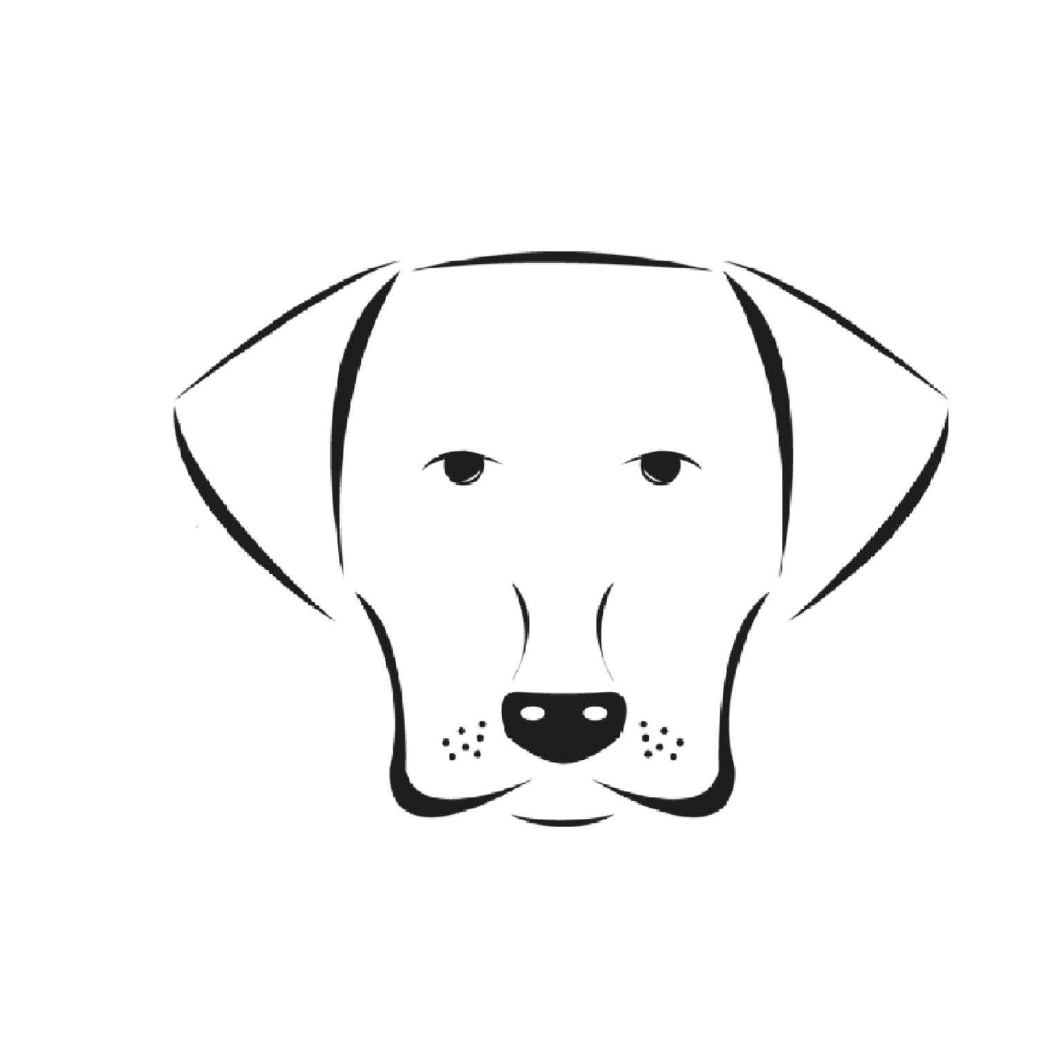 Gallery — McClan Labradors