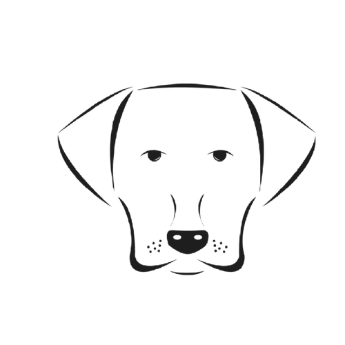 meet — McClan Labradors