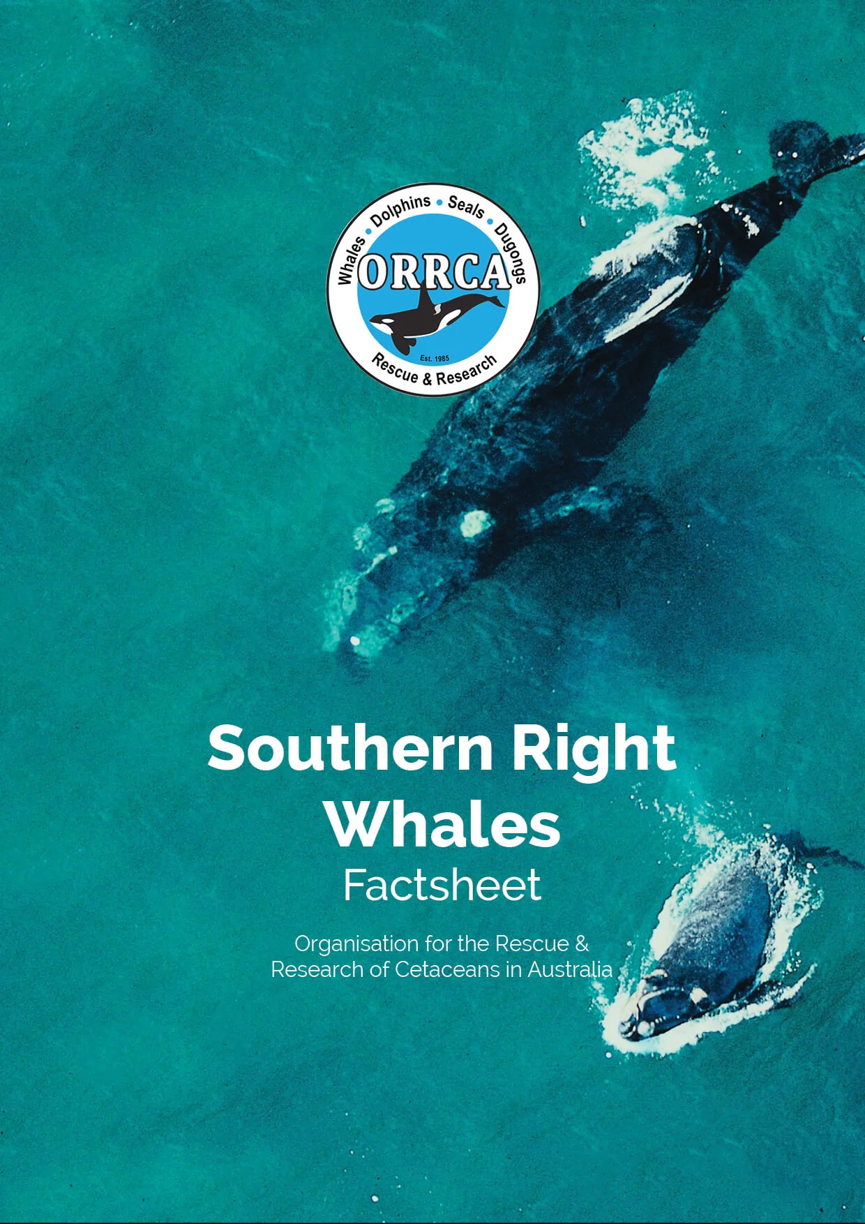 Resources — ORRCA