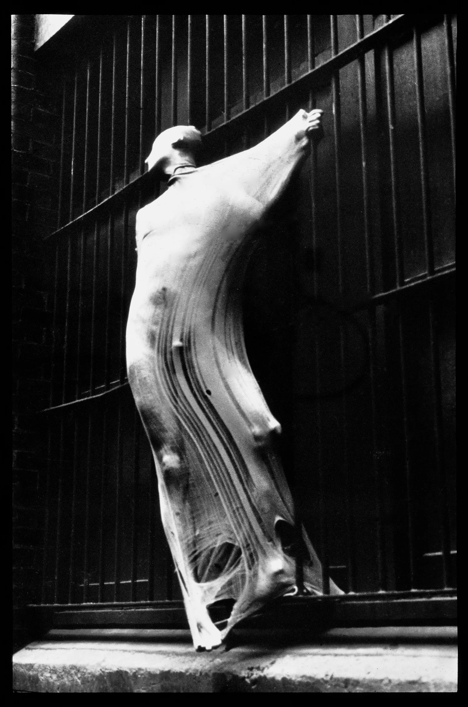 Screen Prints on Linen — Elizabeth Bell