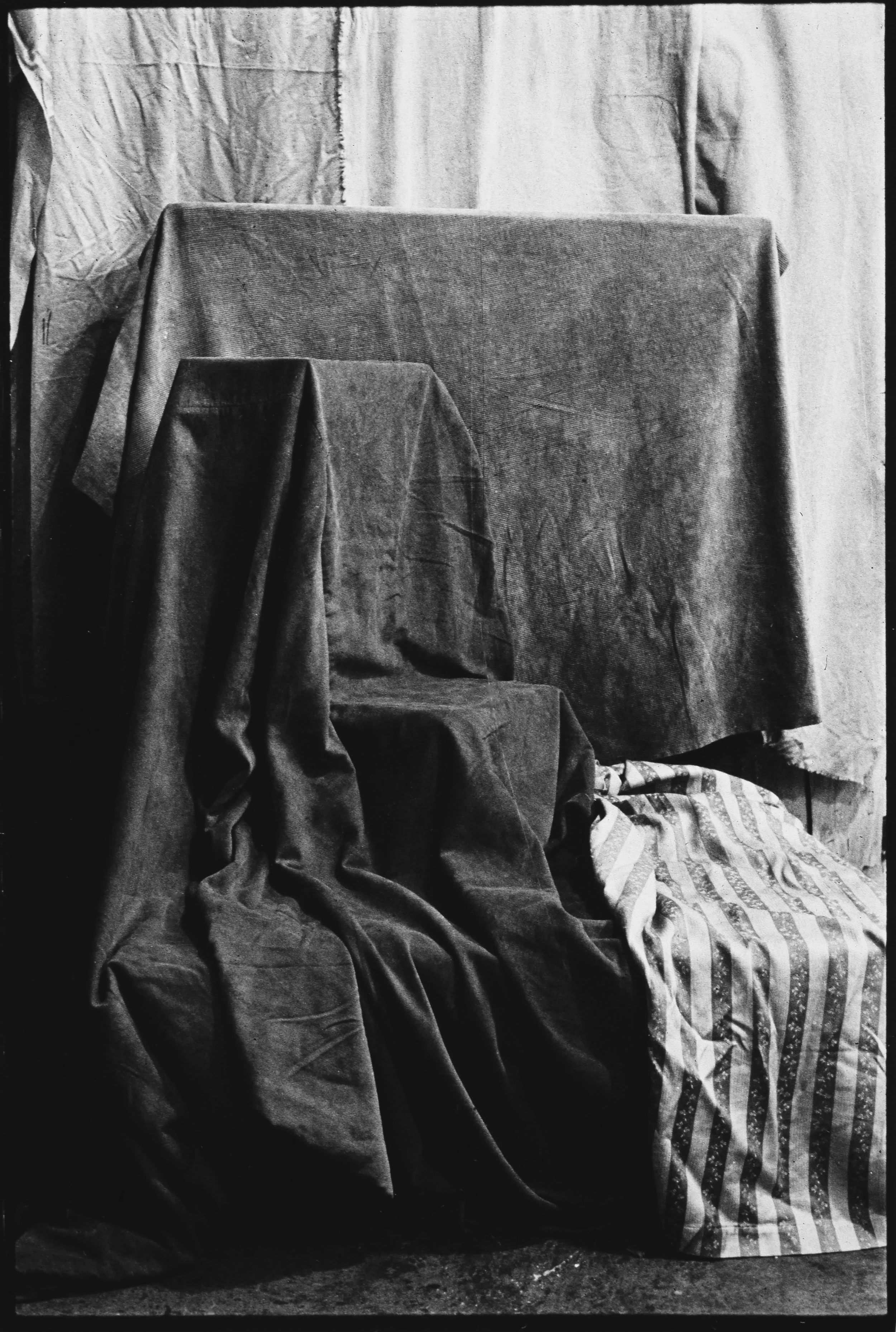 Screen Prints on Linen — Elizabeth Bell