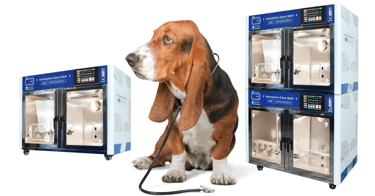 Our Advanced (ICU) Intensive Care Unit. Improved Comfort