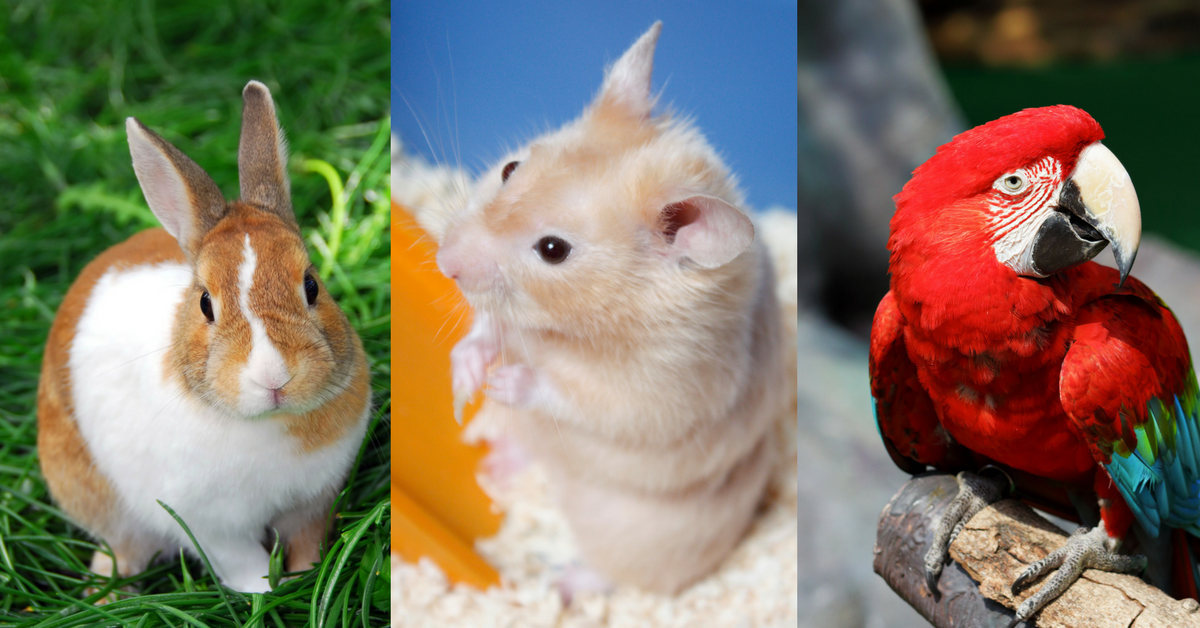 money — Blog - New Vet Equipment