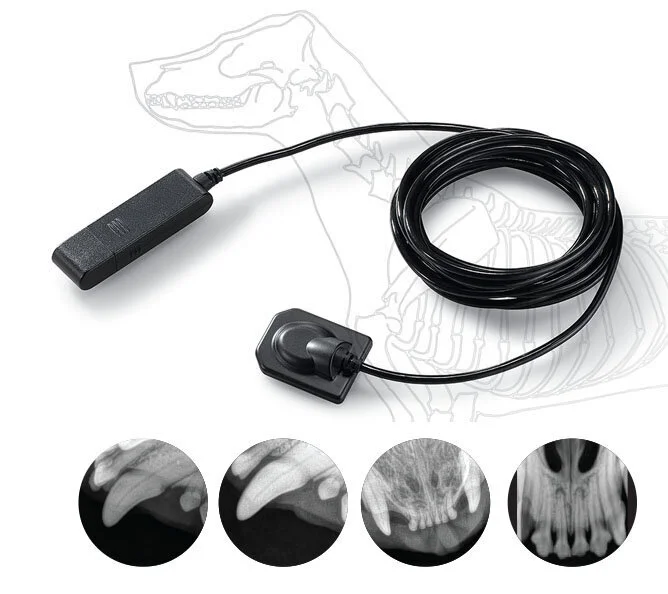 New Dental X-Ray Equipment