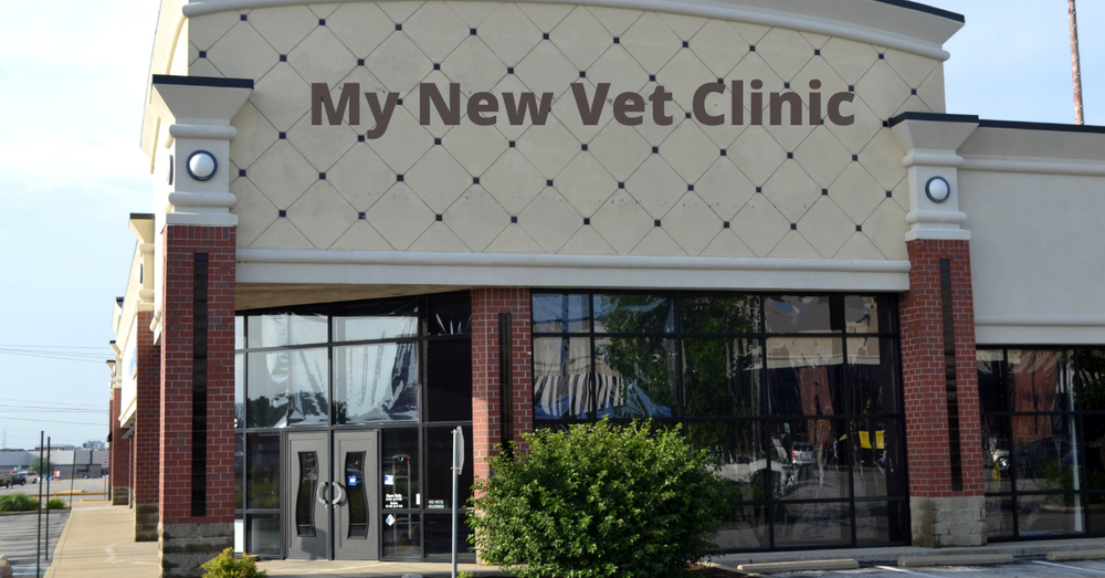 Choosing the Right Location for Your Vet Hospital or Clinic
