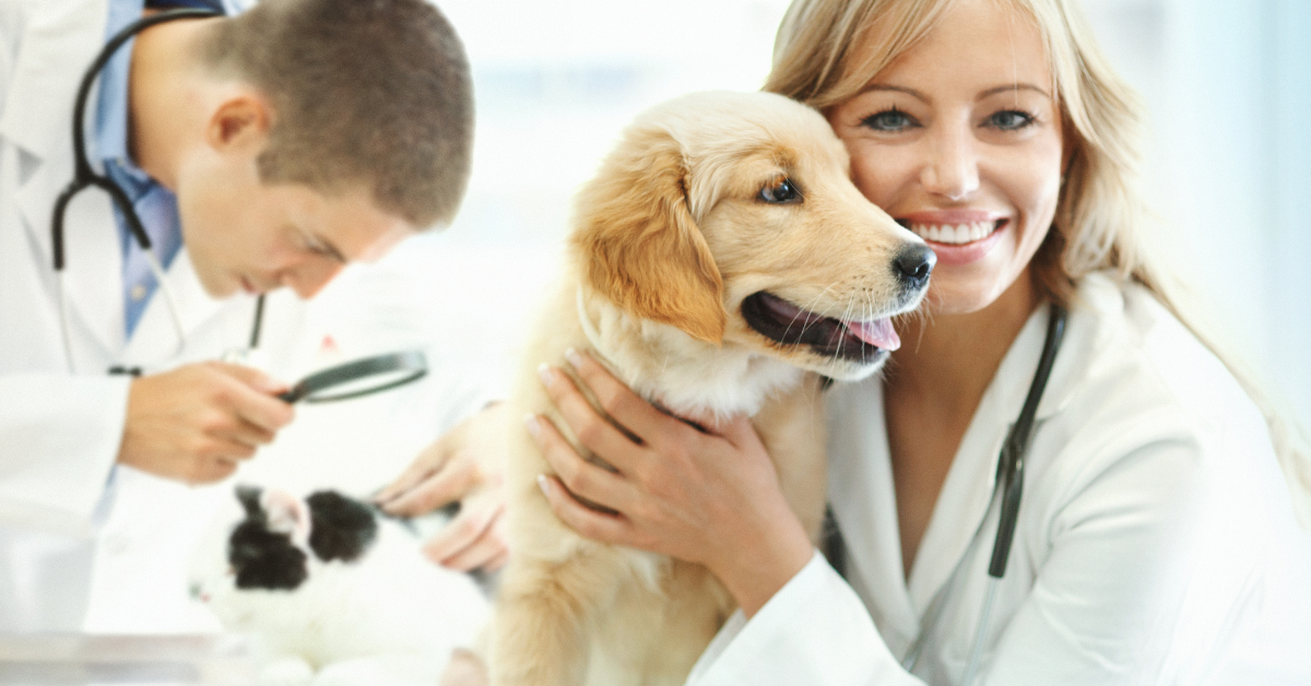 Investing in Staff Specialization for Vet Practice Growth