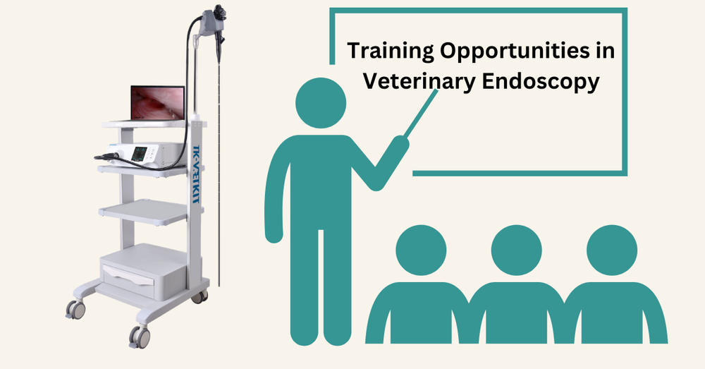 Value of Veterinary Endoscopy: The Importance of Training