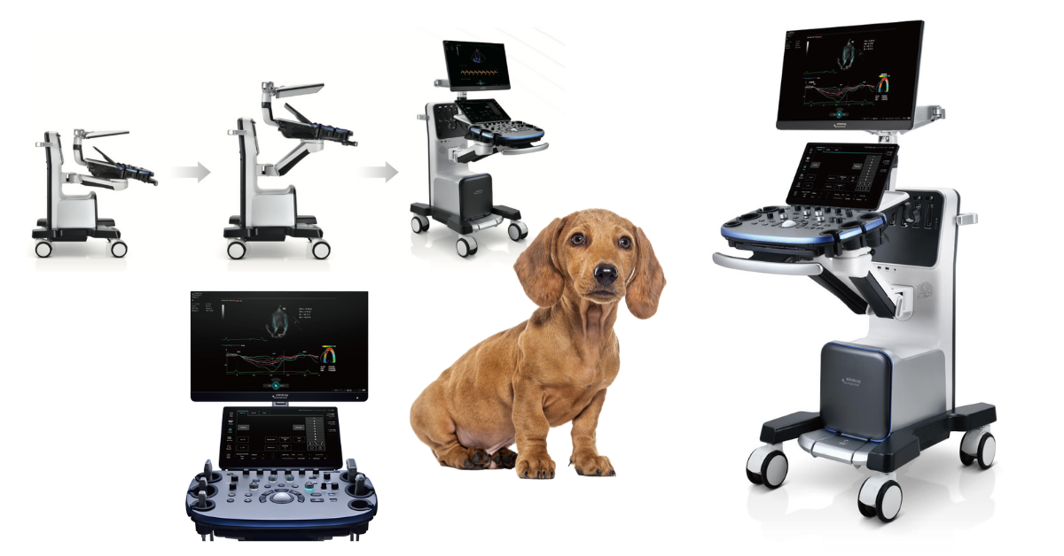 How to Choose the Best Veterinary Ultrasound System