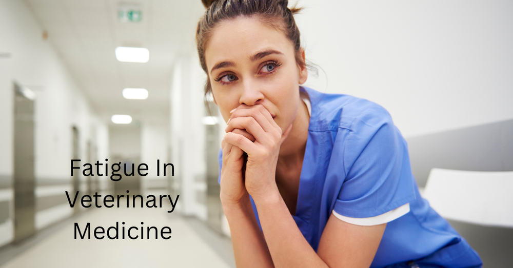 Three Signs of Compassion Fatigue and stress in Veterinary