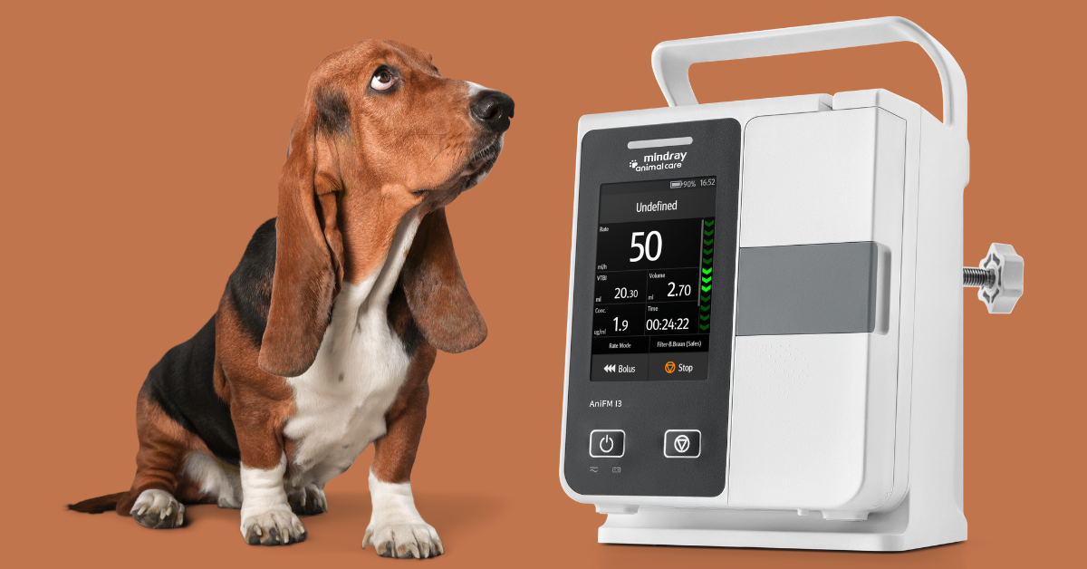 Why Infusion Pumps Are a Game-Changer for Vet Clinics
