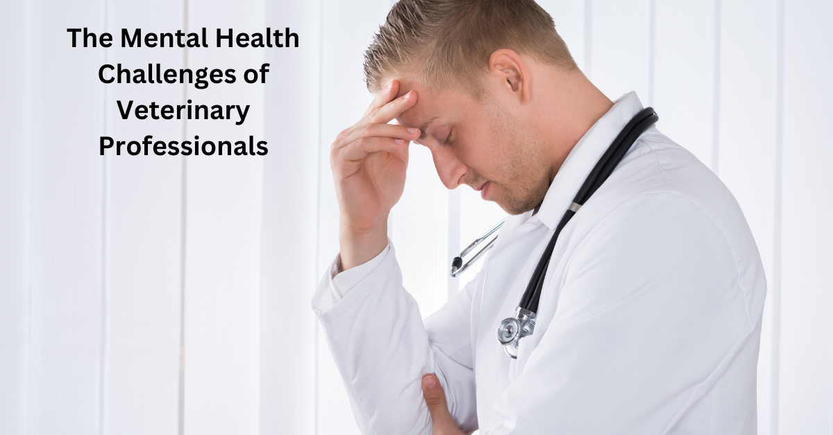 Vets Mental Health: Combat Compassion Fatigue & Stress
