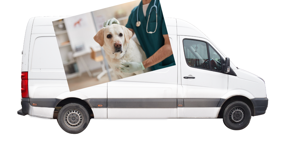 Mobile Veterinary Home Services: A Comprehensive Guide