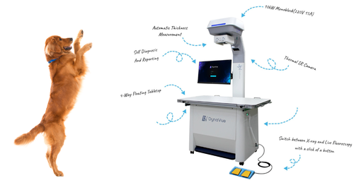 Fluoroscopy - the difference between II images and FPD
