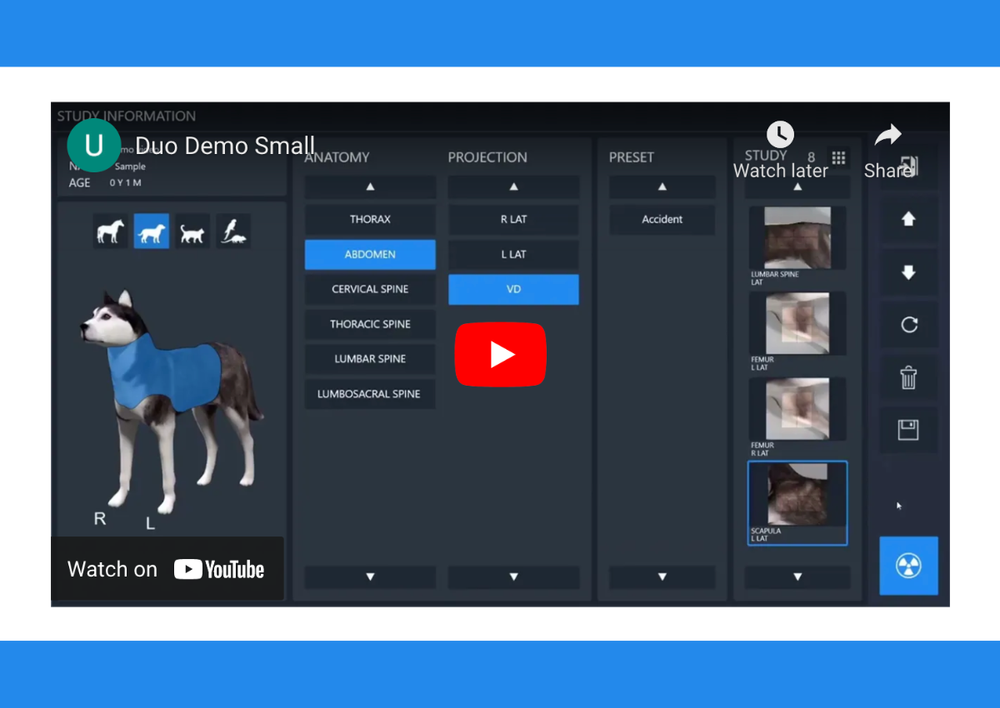 Veterinary X-Ray Software: Key Features You Need to Learn