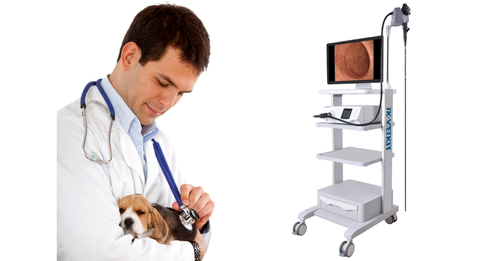 The Complete Small Animal Endoscope System with shipping