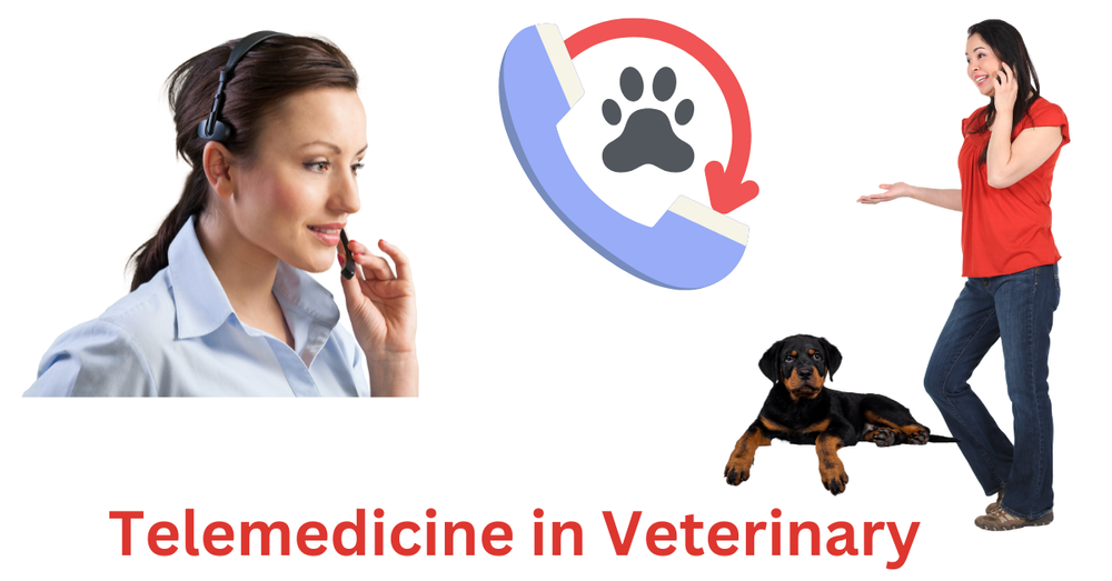 The Power of Telemedicine in Veterinary Critical Care