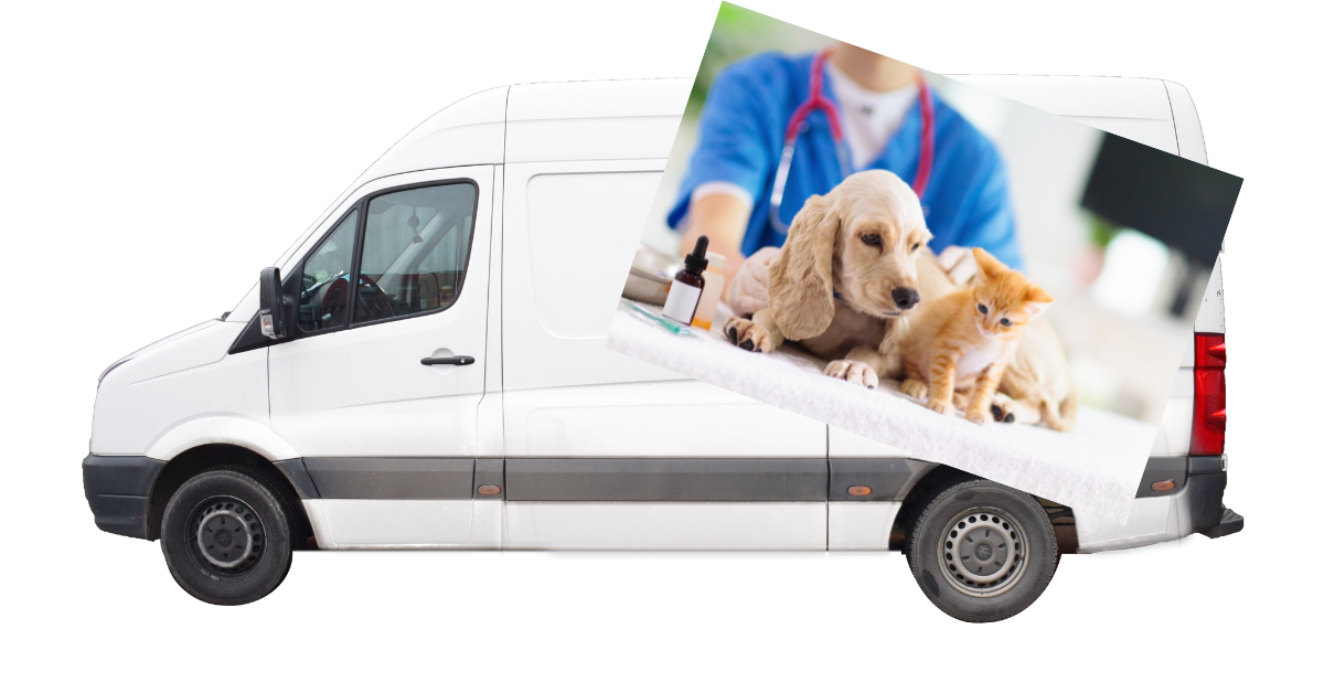 Navigating the World of Mobile Veterinary Home Services