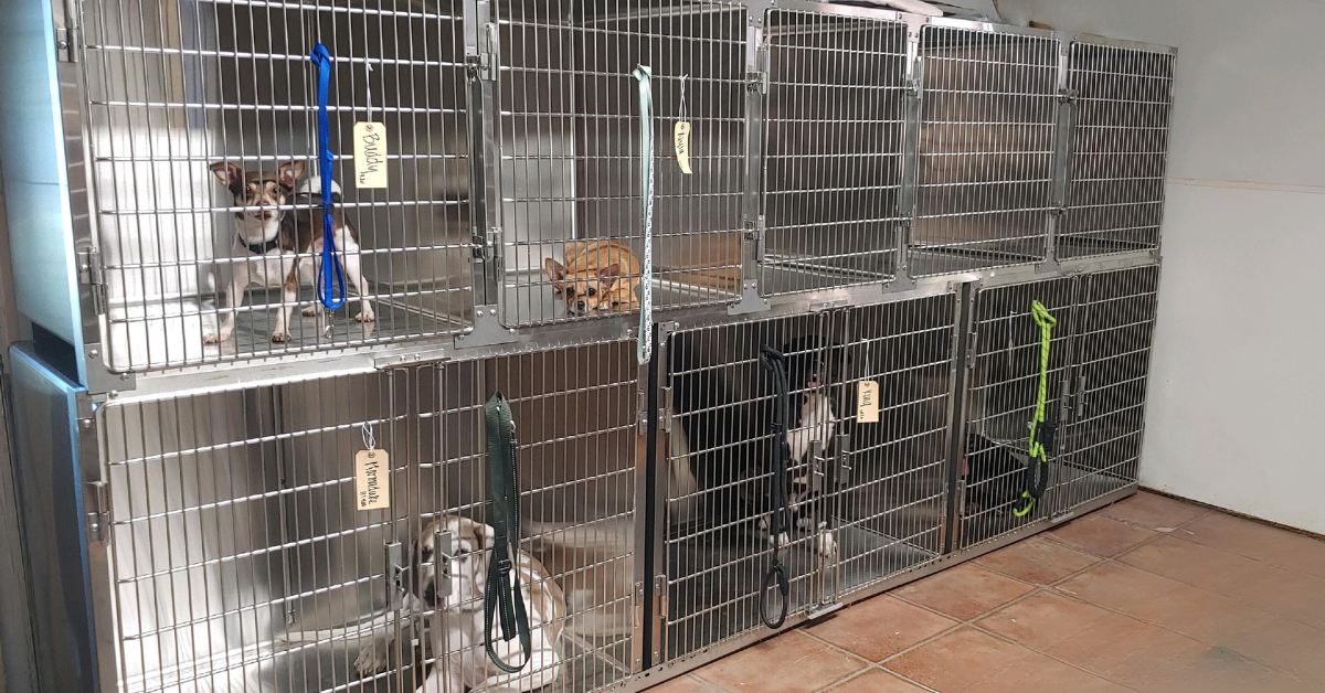 12-foot bank stainless steel cages with base, wheels