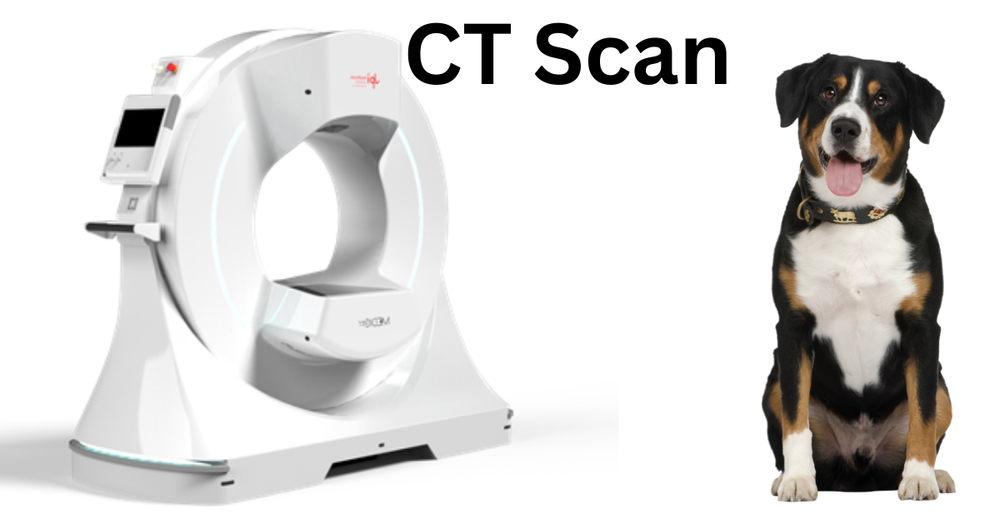 CT Technology Comparison: Traditional vs. Cone-Beam