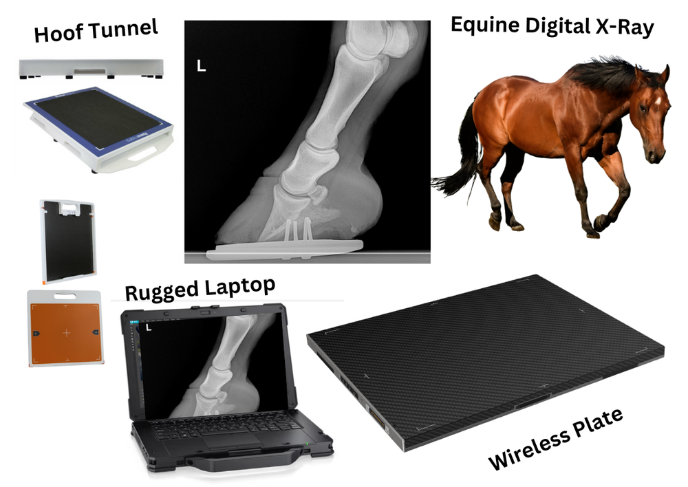 DR Digital X-Ray System for Mobile Veterinary Service