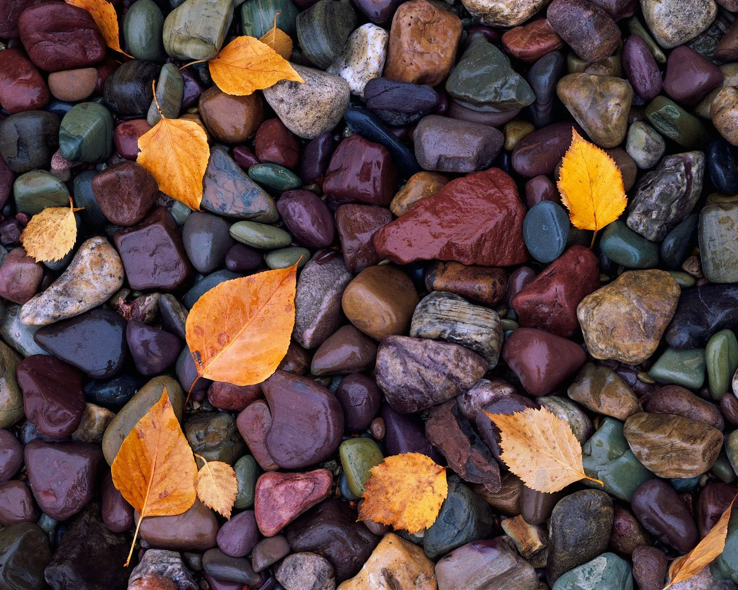 Artist Favorites and Print Store — Alex Burke Photography