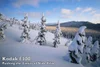 Kodak E100 - Pushing the Limits of Slide Film — Alex Burke Photography