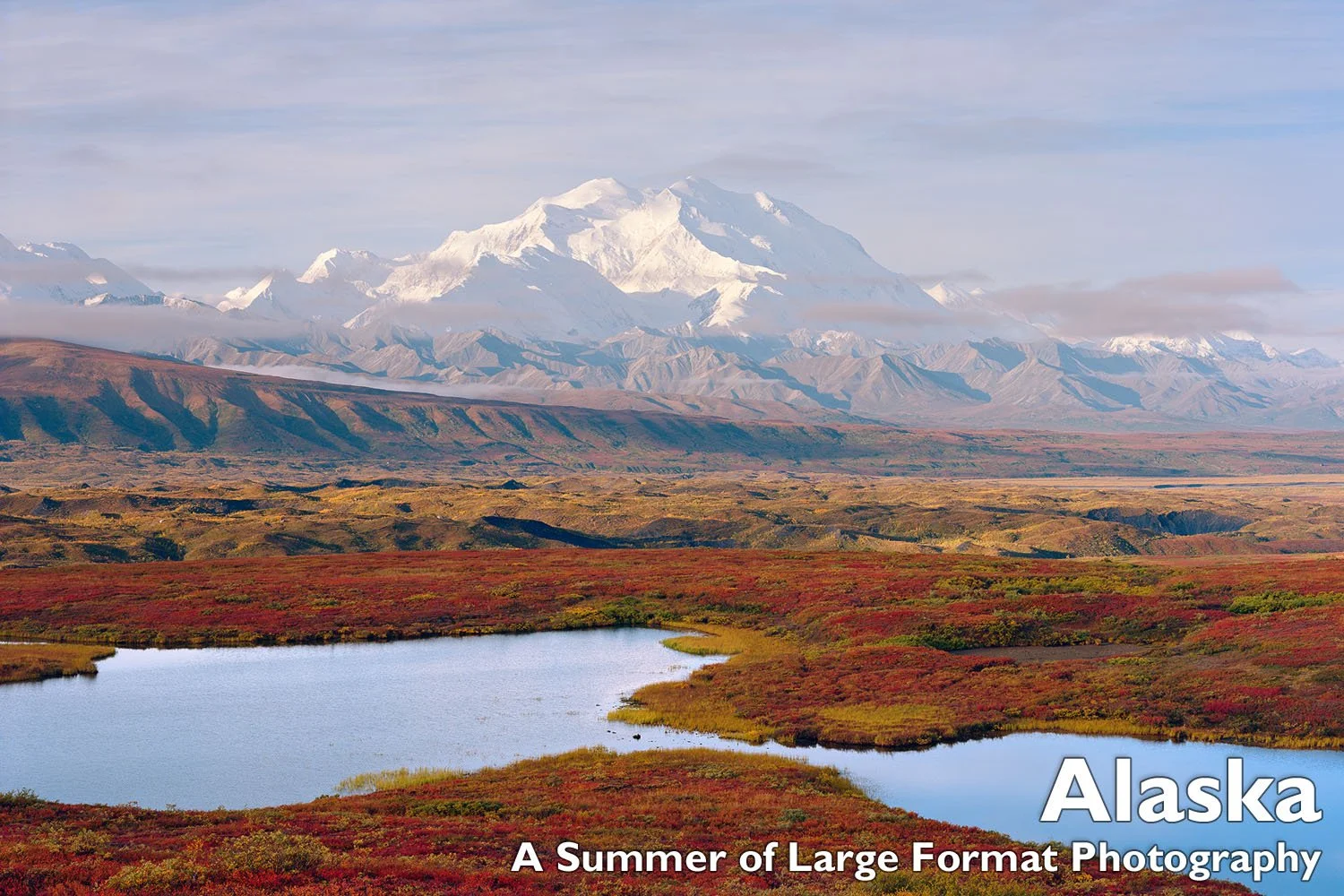 Alex Burke's Blog — Alex Burke Photography