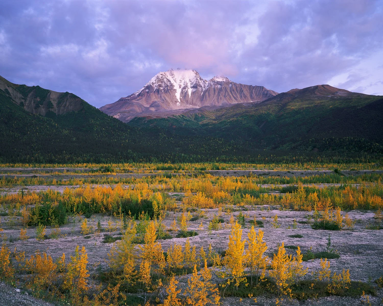 Alaska - A Summer of Large Format Photography — Alex Burke Photography