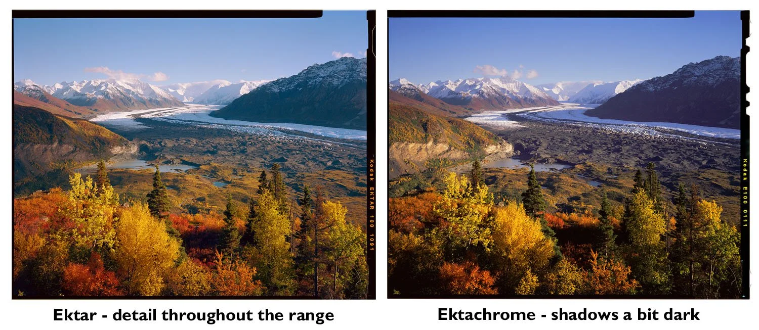 How to Select the Right Color Film — Alex Burke Photography