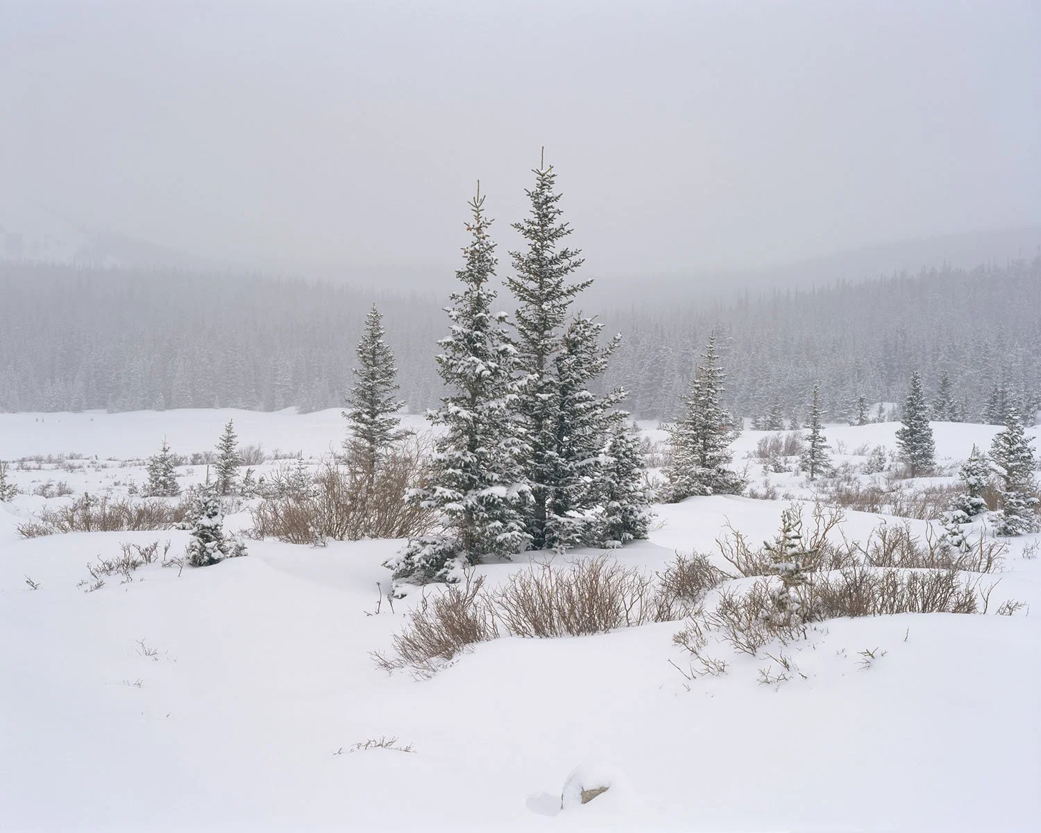 Kodak E100 - Pushing the Limits of Slide Film — Alex Burke Photography