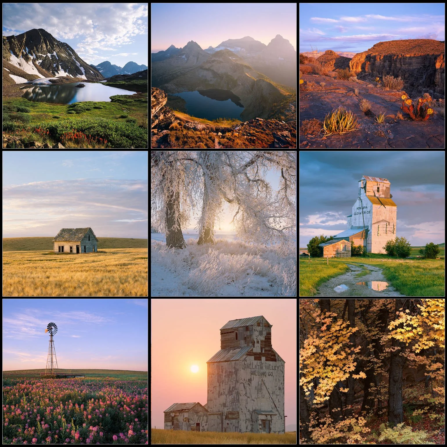 Alex Burke's Blog — Alex Burke Photography