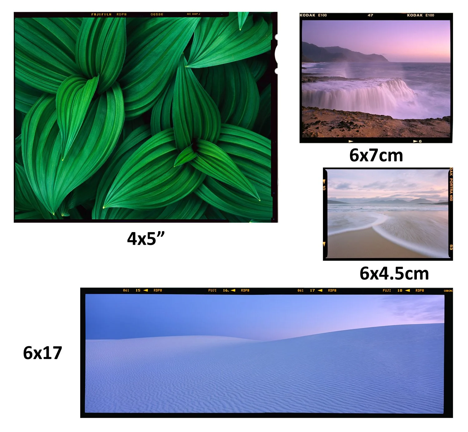 Maximum Print Size For Film Scans — Alex Burke Photography