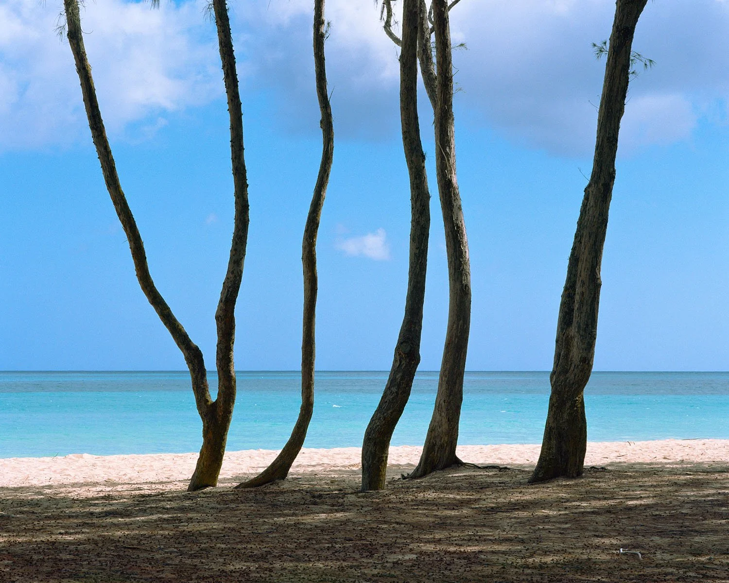 Hawaii on Medium Format Film — Alex Burke Photography