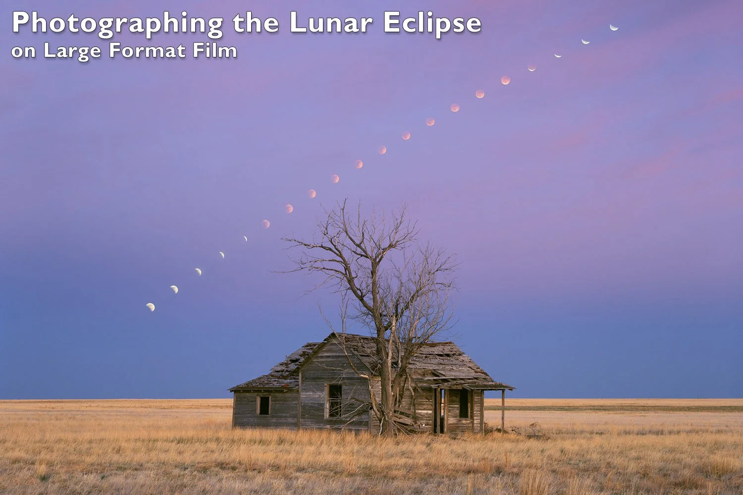 Alex Burke's Blog — Alex Burke Photography