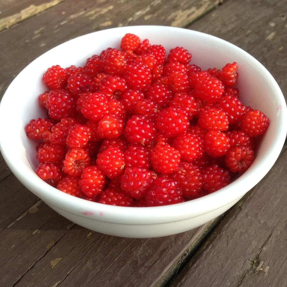 Enjoy Fresh Berries All Ways All Day with These Inspiring Ideas — Zest ...