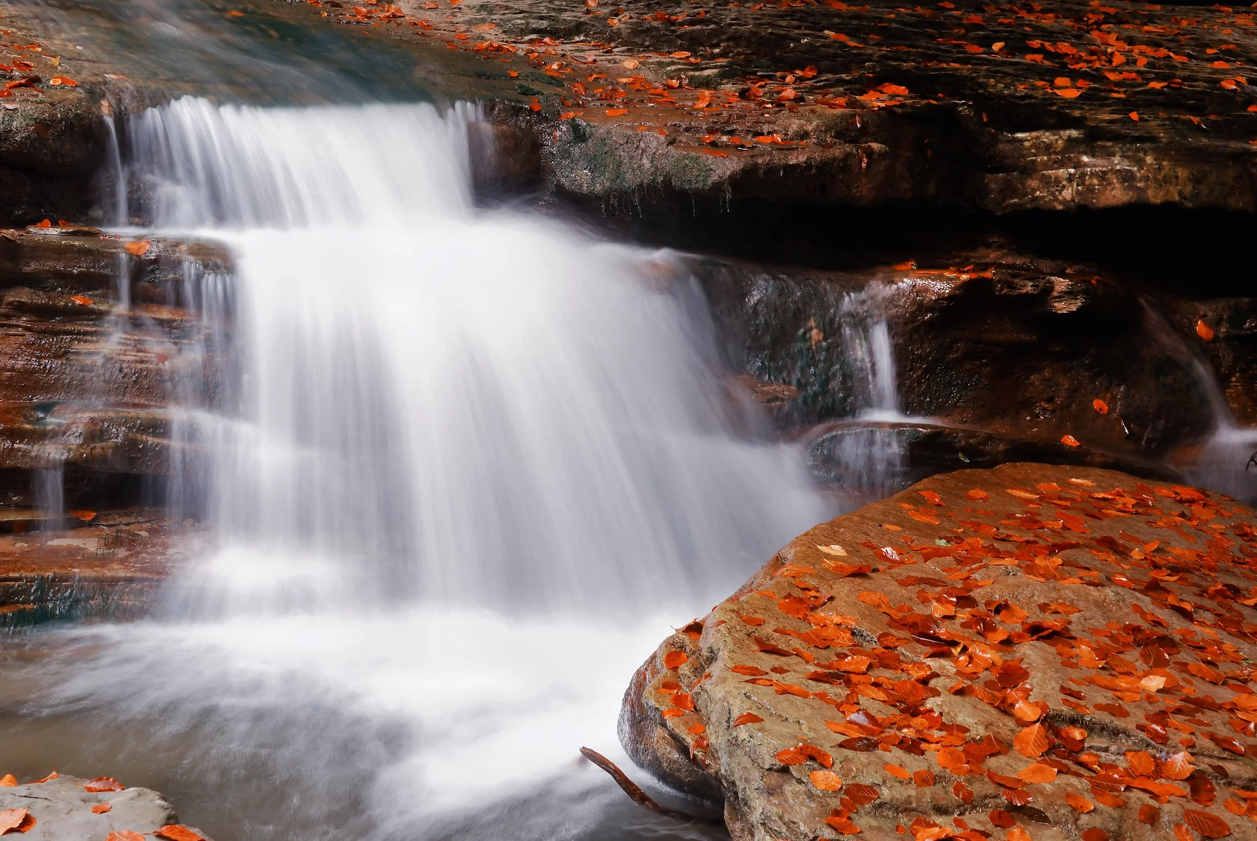 Nature Generates Negative Ions Perfectly — PHYTO5 Quantum Swiss Skincare