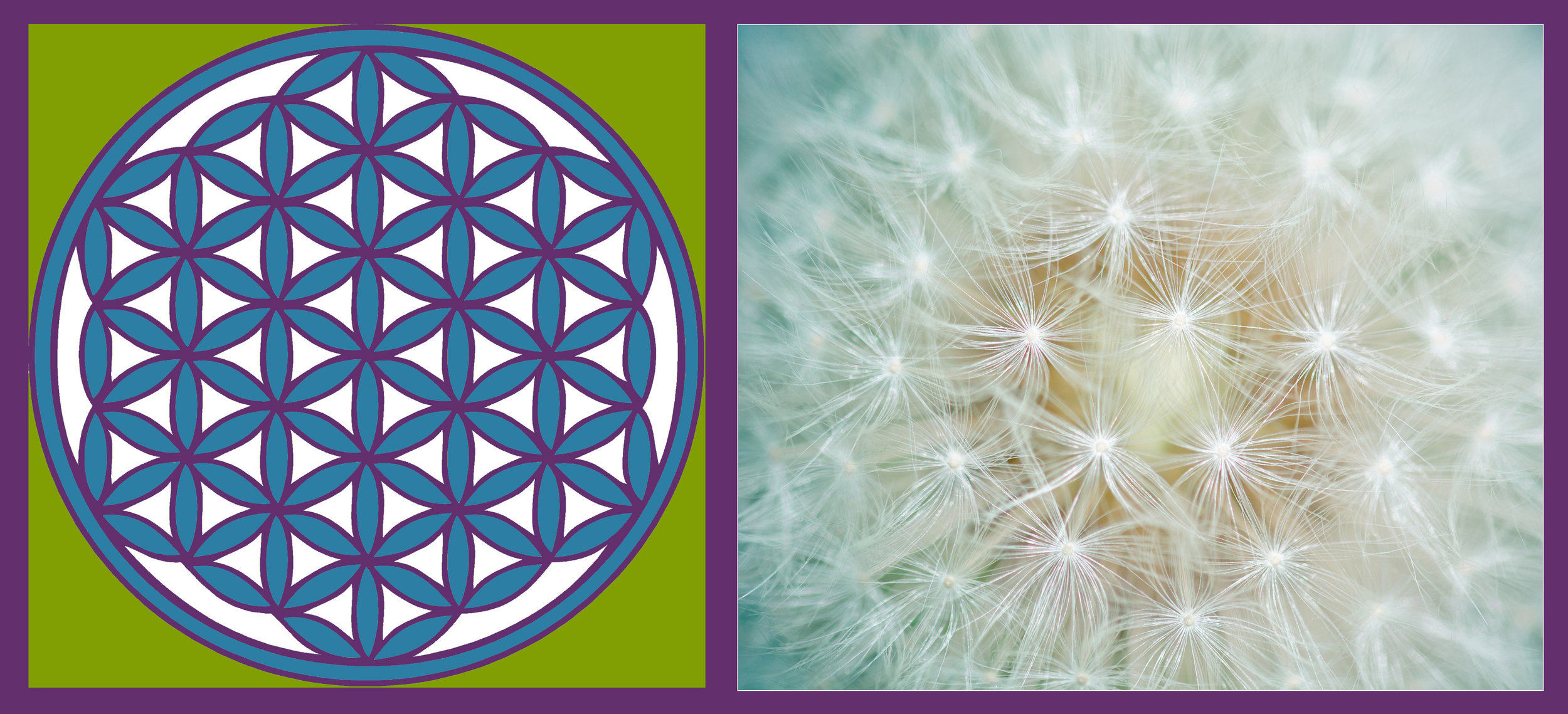 Flower Of Life Art