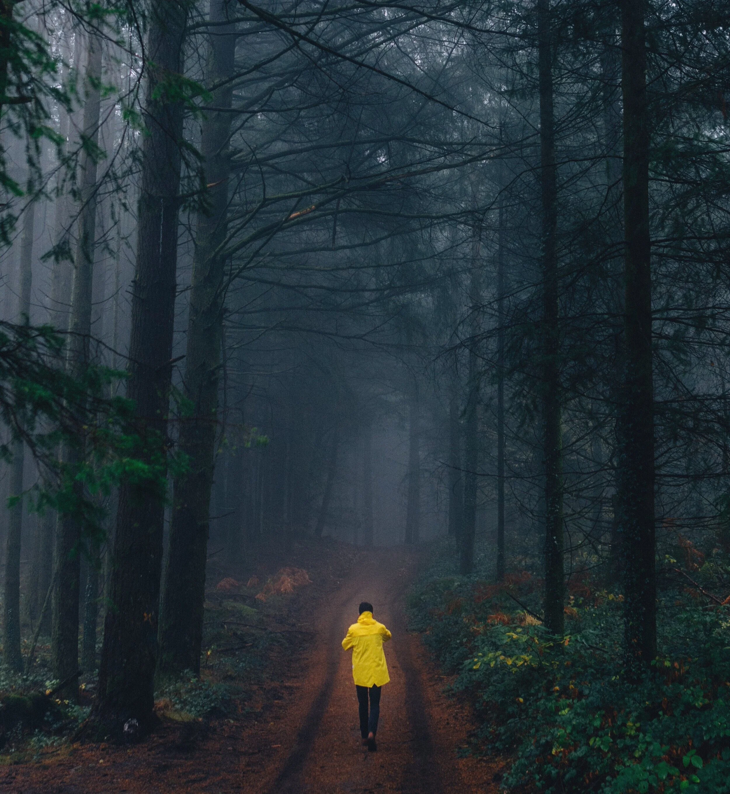 8 Ways to Expose Yourself To Earth's Healing Negative Ions — PHYTO5 ...