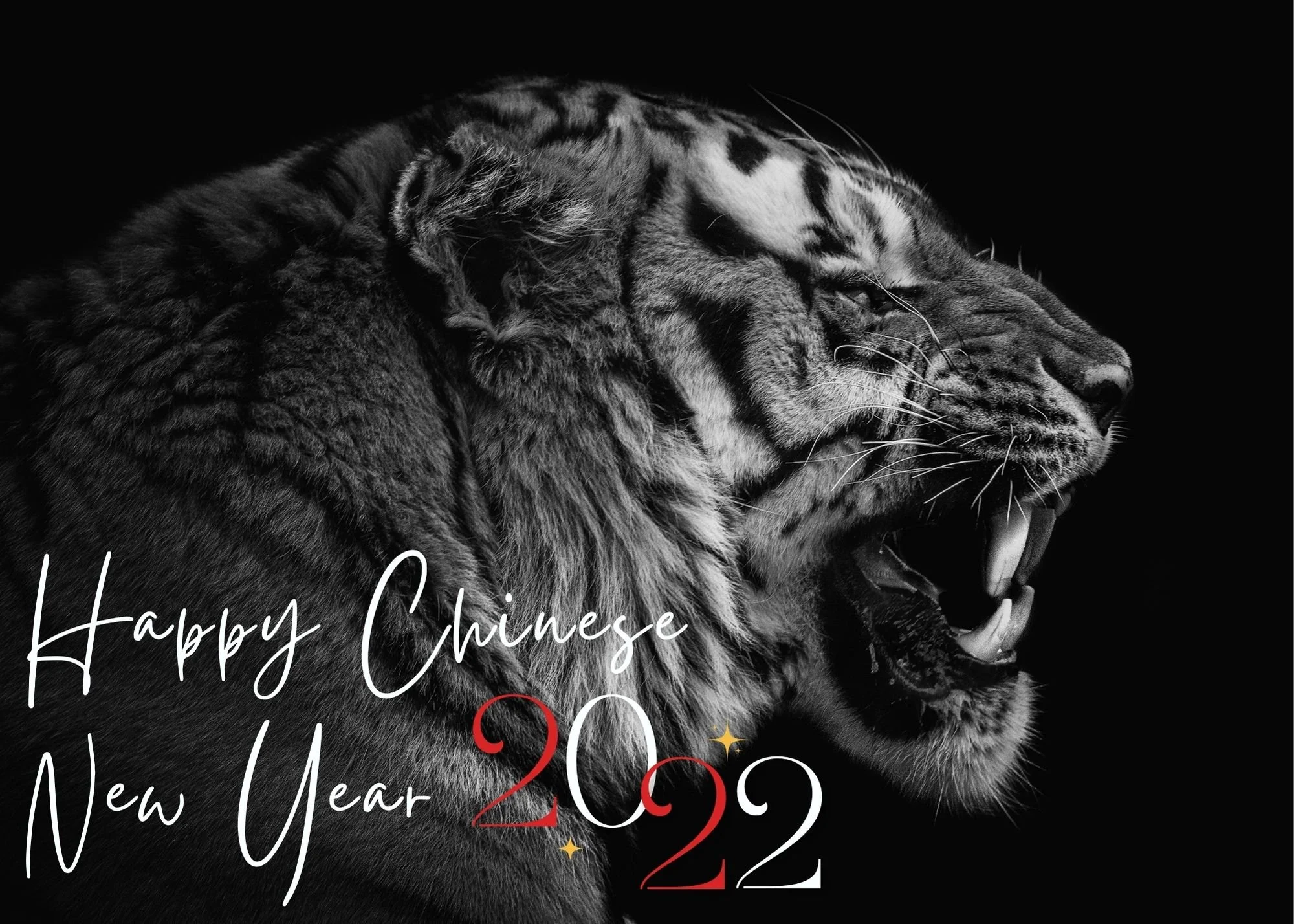 February 1, 2022 Is The Chinese New Year of the Black Water Tiger: Here ...