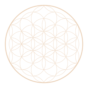 Sacred Geometry Flower of Life Meaning — PHYTO5 Quantum Swiss Skincare