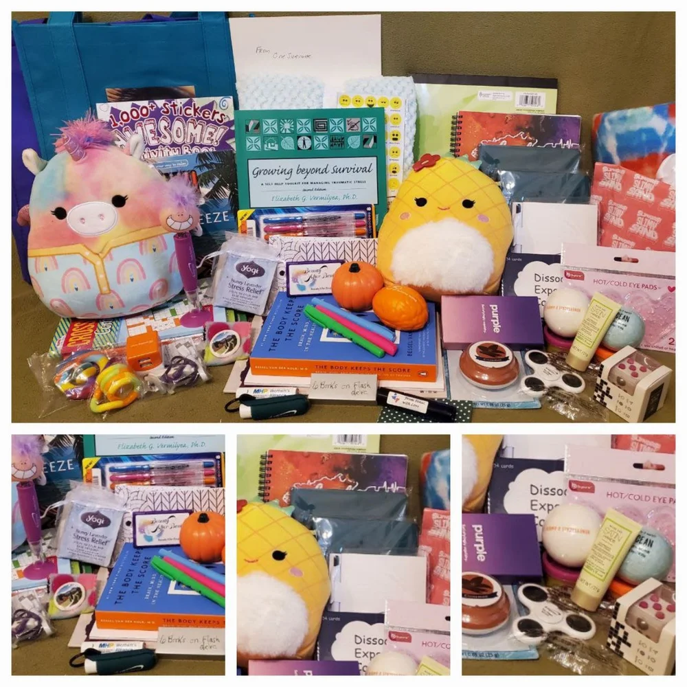 Therapy Box Project — Beauty After Bruises