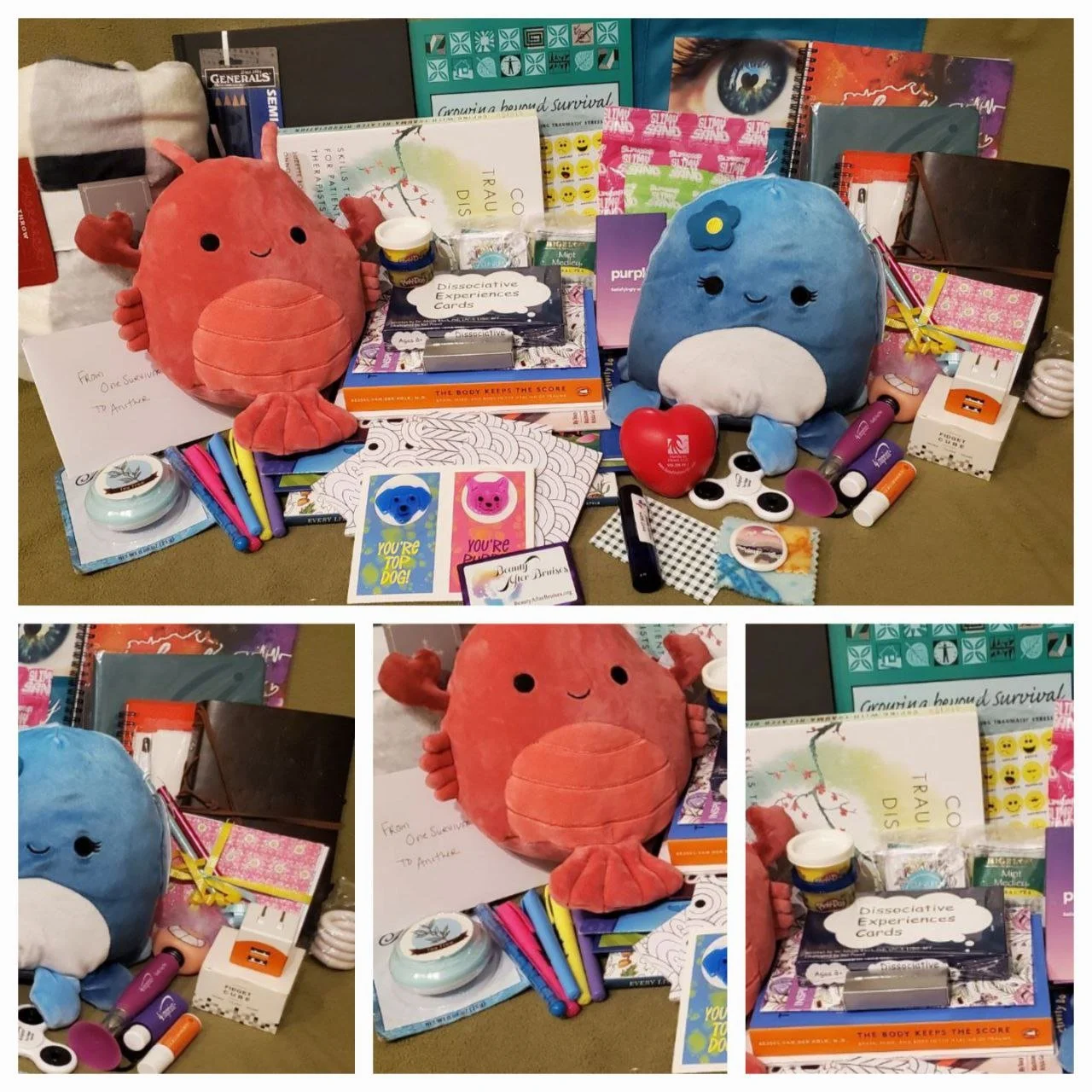 Therapy Box Project — Beauty After Bruises