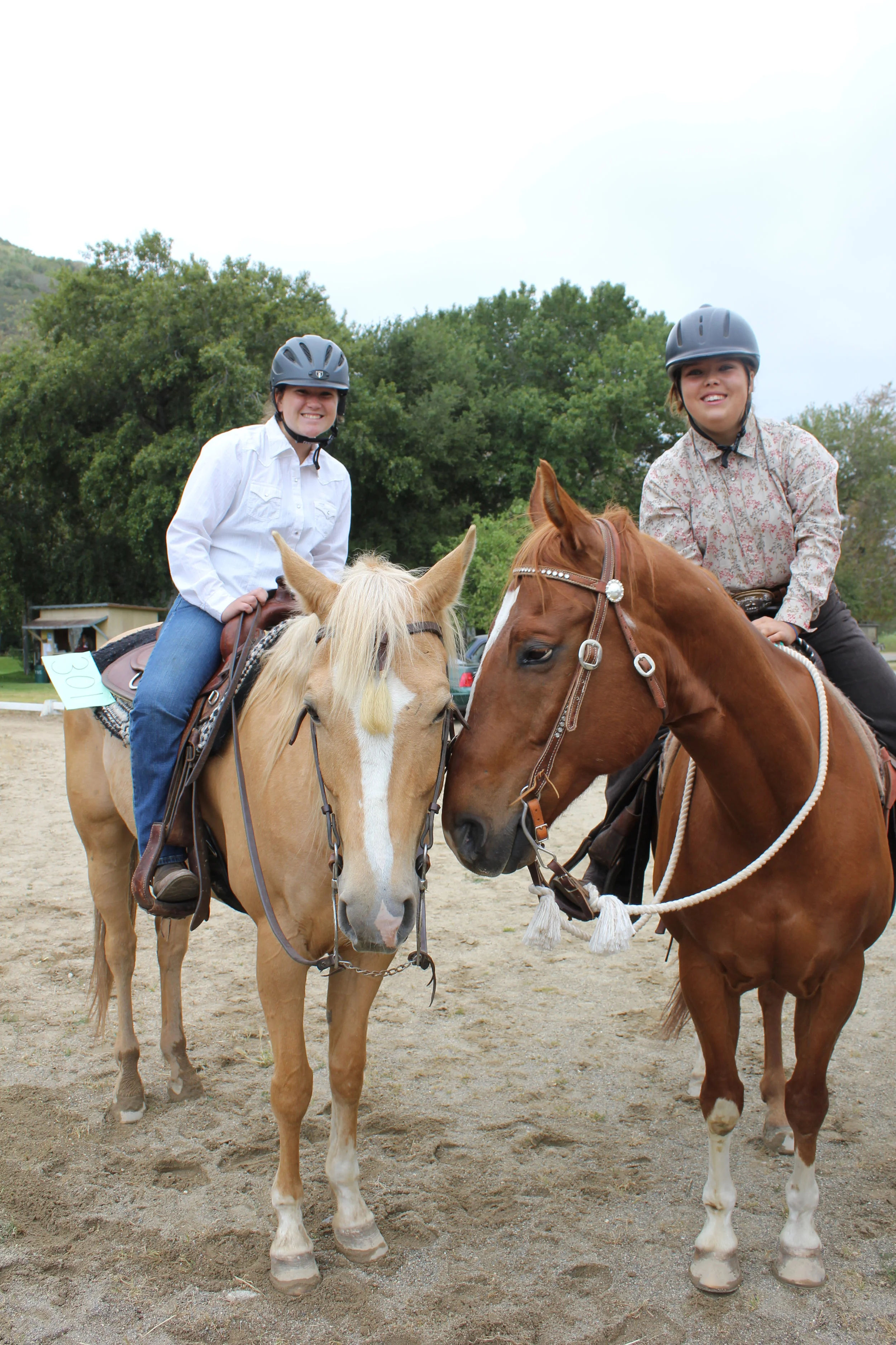 Riding Lesson Programs — Pleasant Valley Horse Club
