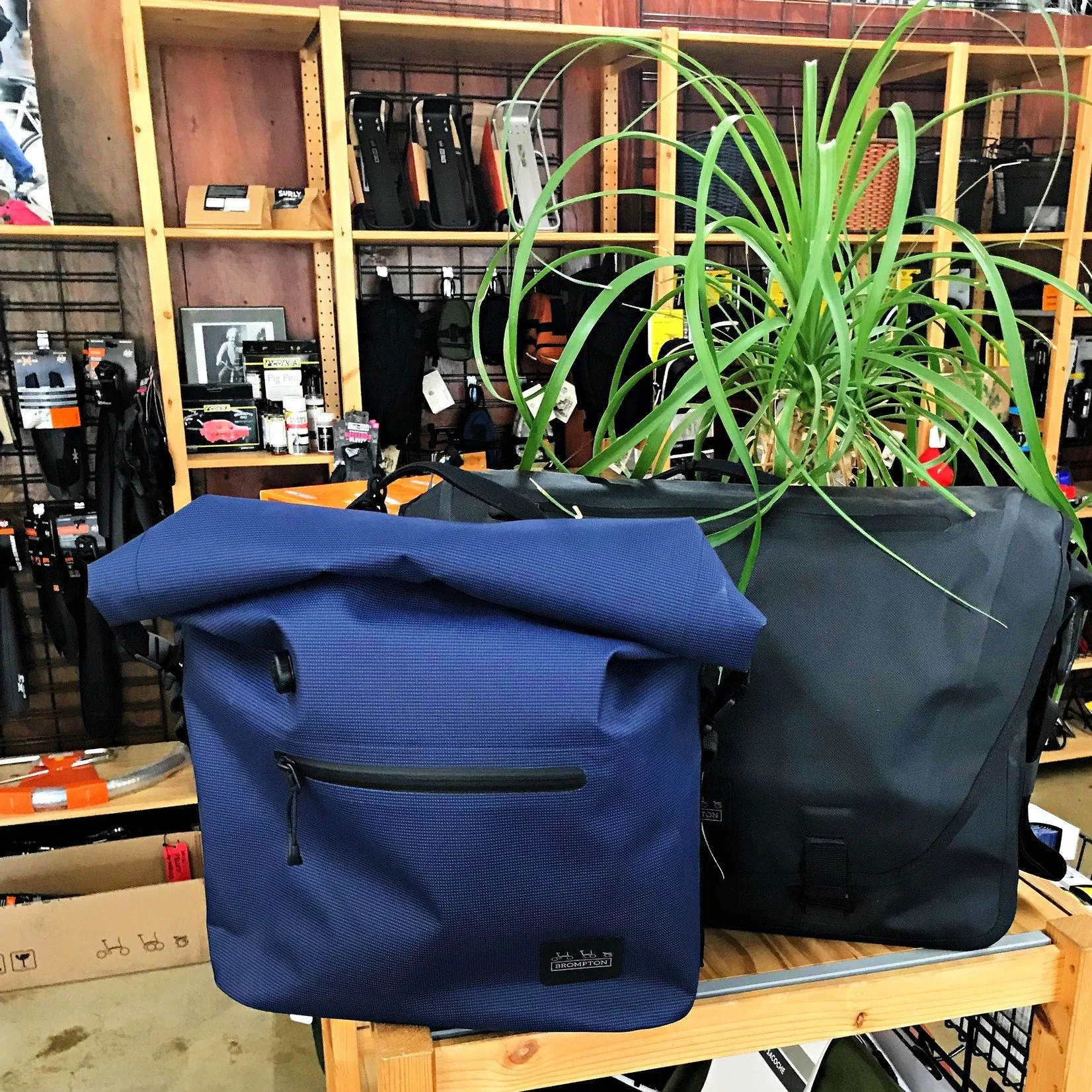 Shop — Cosmic Bikes