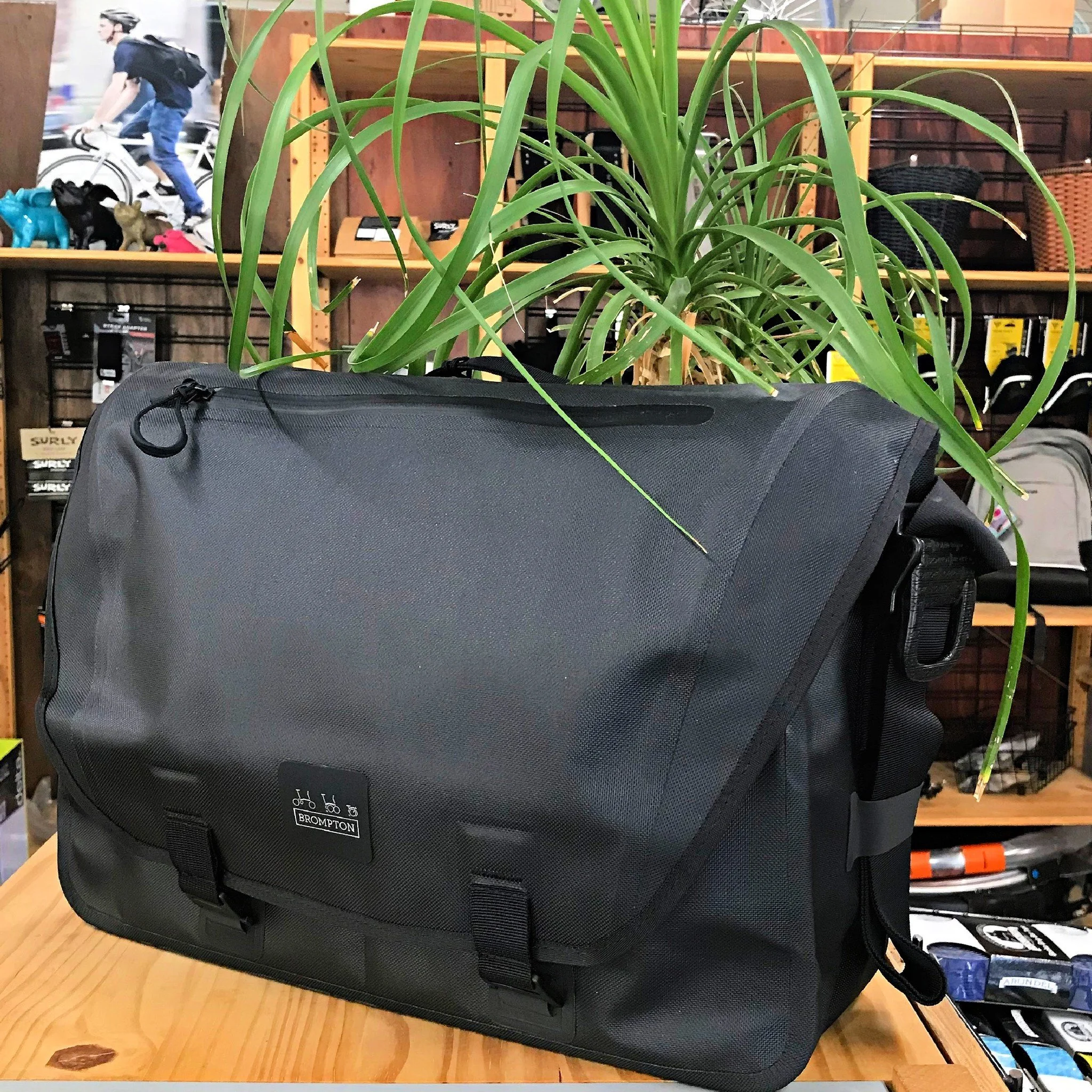 Shop — Cosmic Bikes