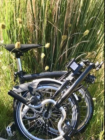 Shop — Cosmic Bikes