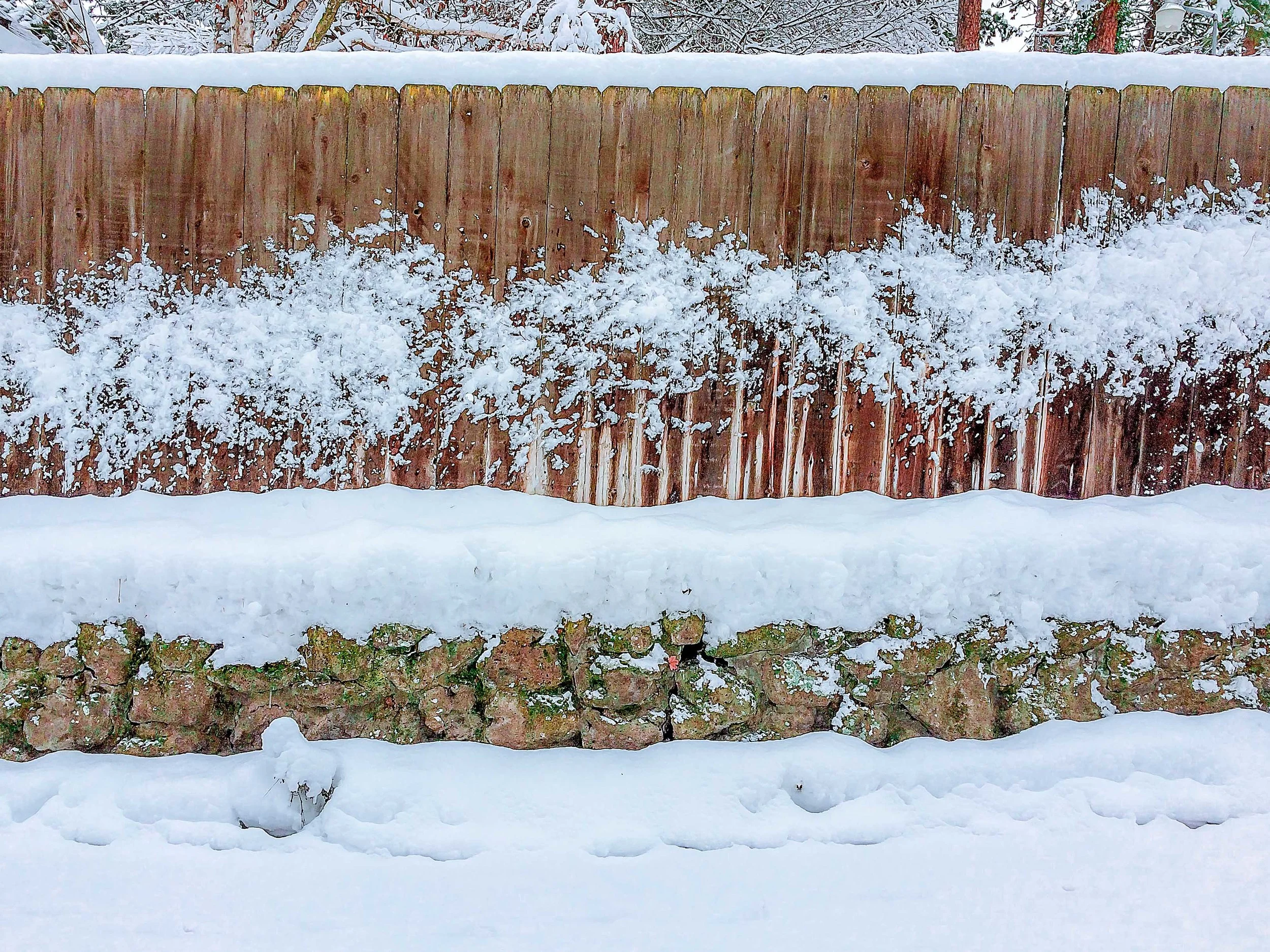 The Geometry of Snow — daniel d baumer