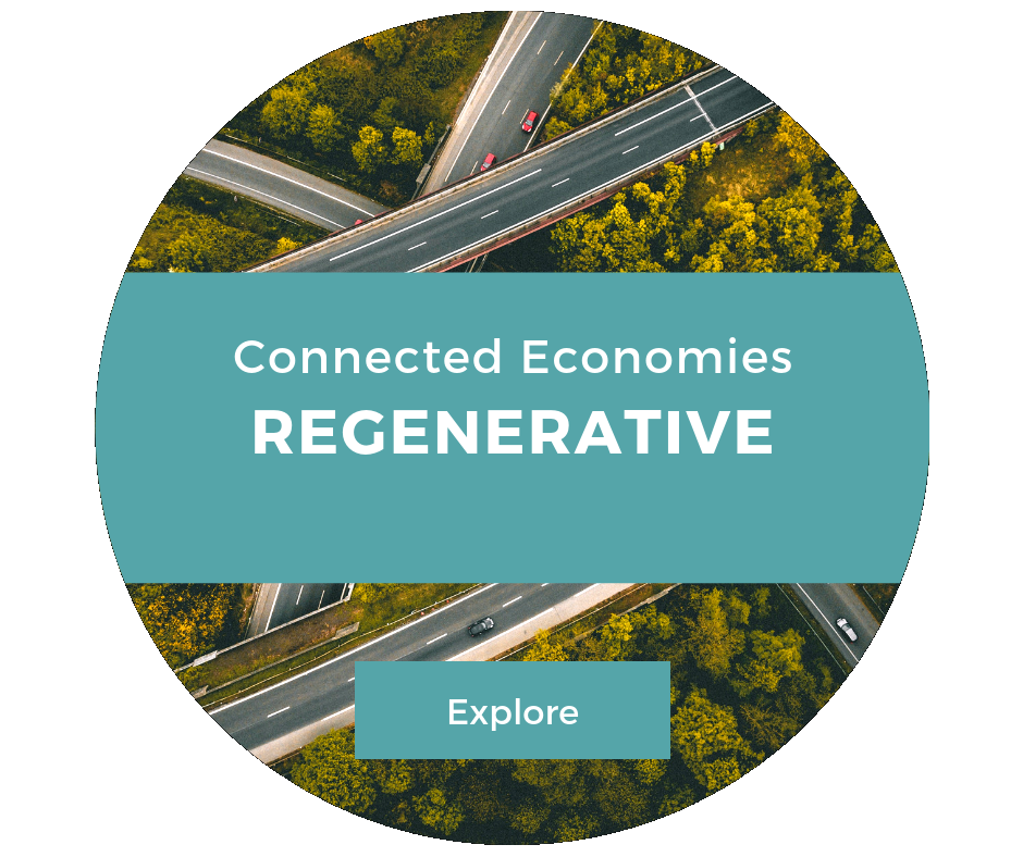 Regenerative Leadership - Collective Intelligence (Regenerative Series ...